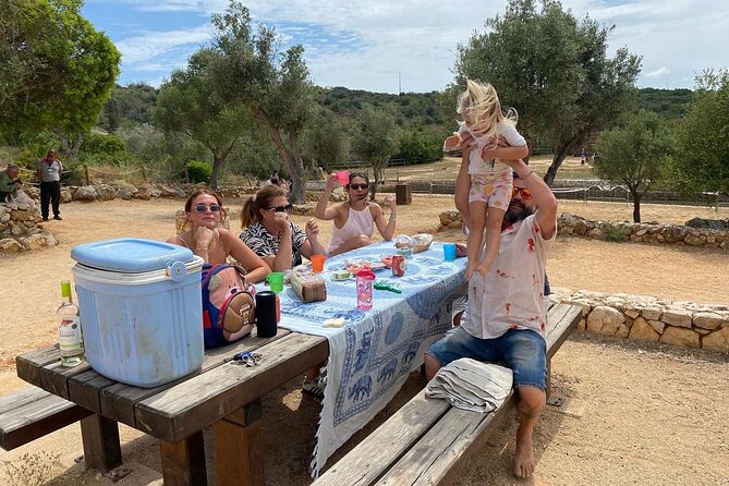 Wine Not Algarve Winery Tour - Practical Details and Value
