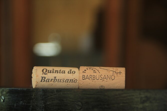 Wine taste, 4x4 Jeep Adventure and Cabo Girão Skywalk - Who Should Book This Tour?