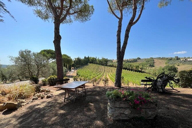 Wine Tasting and History Guided Day Tour in Chianti - Exploring the Route: What Each Stop Offers