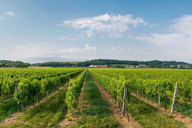 Wine Tour and Tasting on Garda Hills - Who Should Consider This Tour?