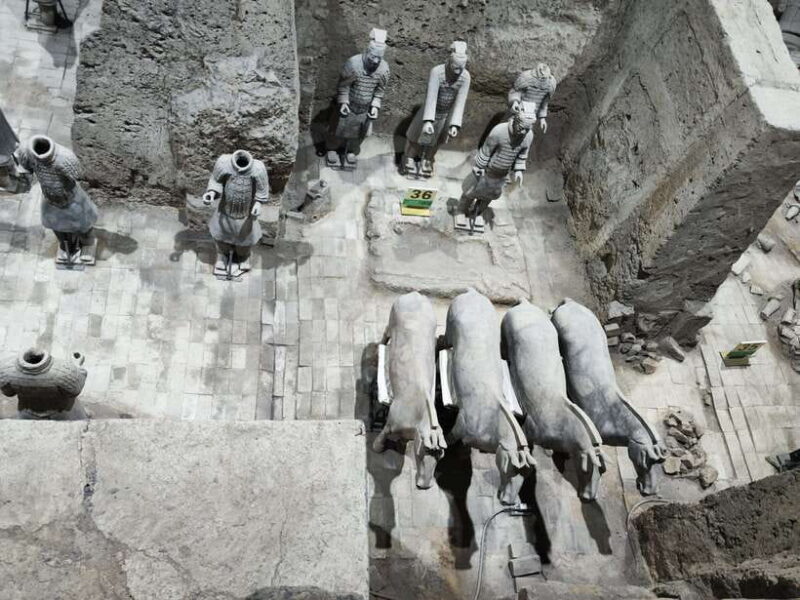 Xi'an: Terracotta Army Museum Group Day tour - What Sets This Tour Apart?