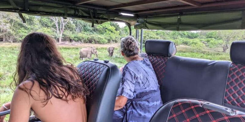 Yala National Park -Morning or Afternoon Leopard Safari Tour - Who Is This Tour Best Suited For?