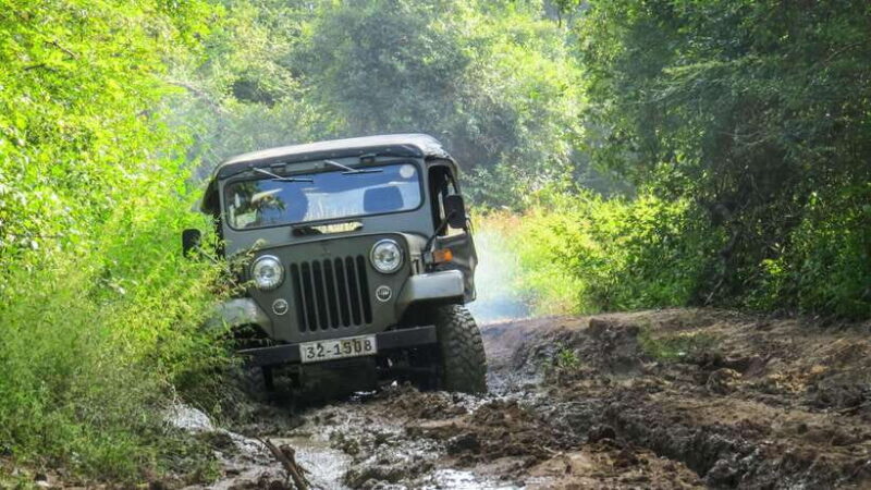 Yala National Park Private Safari from Ella - Why This Tour Offers Good Value
