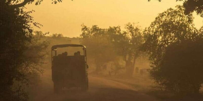 Yala: Night Drive in Yala National Park Buffer Zone! - What to Expect from the Night Drive in Yala