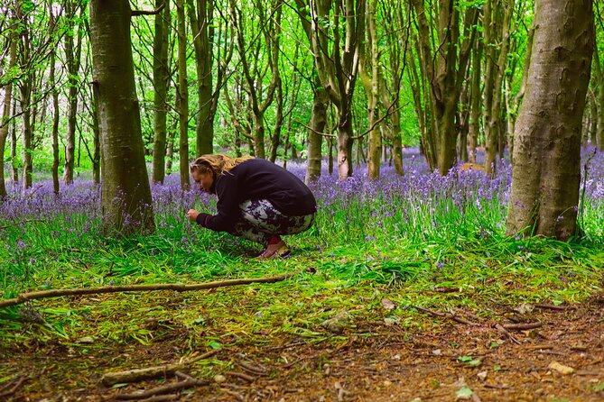 Yoga & Forest Bathing Day Retreat - Who Should Consider This Retreat?