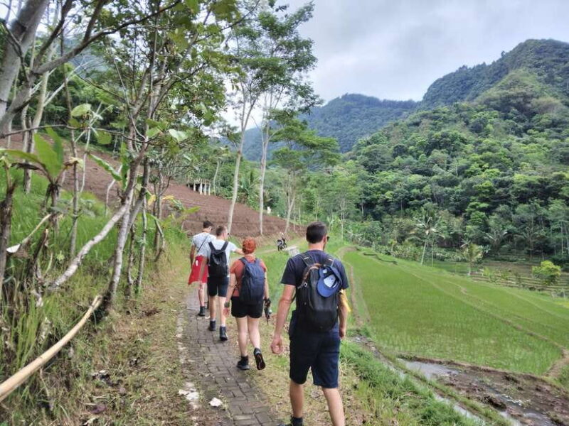 Yogyakarta: Borobudur Temple and Selogriyo Rice Terrace Tour - Practical Details and What to Pack