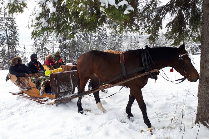 Zakopane and Horse Sleigh Ride in the countryside, private tour from Krakow - FAQ: Your Practical Questions Answered