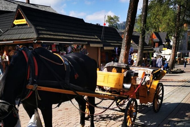 Zakopane Funicular Hill & Thermal Springs regular tour - Exploring Zakopane: What to Expect