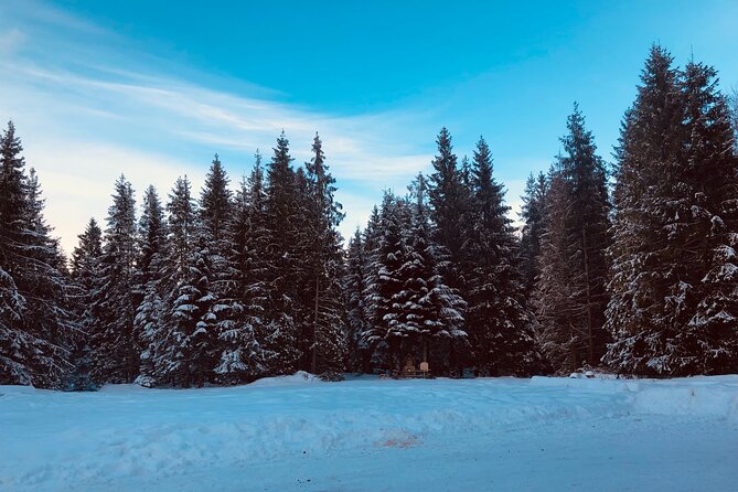Zakopane & Sleigh Ride with Bonfire - Group Tour from Kraków - Analyzing the Value