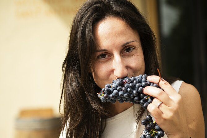 3-Hour Private Food and Wine Experience in Montalcino - An Overview of What to Expect
