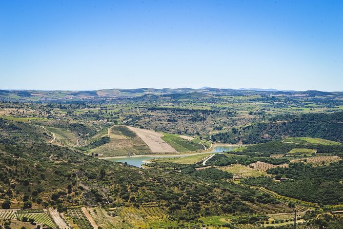 3-Hour Private Wine Tasting in Quinta da Vineadouro with Lunch - Exploring the 3-Hour Private Wine Tasting at Quinta da Vineadouro