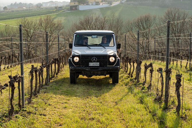 3-Hours of Activities with Safari Grand Tour and Tasting in Vineyards - An In-Depth Look at the Tour Experience