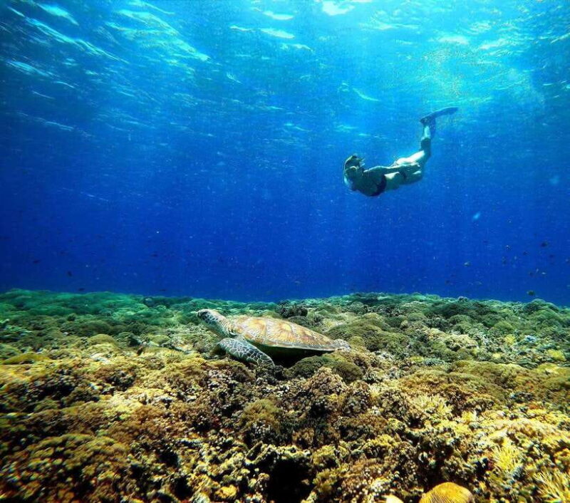 3 islands snorkeling & turtle sanctuary Gopro included - Introduction