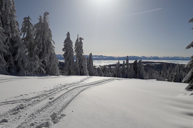 1-day Private Snowshoe Hike in the Gorce Mountains near Krakow - Who Is This Tour Best For?