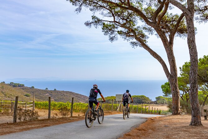 2-Hour e-bike Tour with Wine Tasting in Tenuta delle Ripalte - Exploring the Mines and Natural Wonders