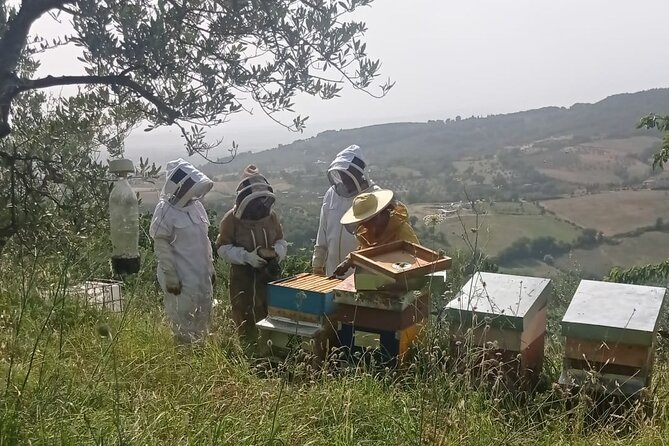 2 hours Beekeeping and Honey Tasting Activities in Assisi - The Sum Up