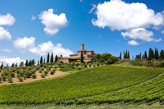 2 wineries Chianti Wine Tasting & Vineyards Walk Private Tour - Second Stop: A Family-Run Vineyard in Chianti Classico