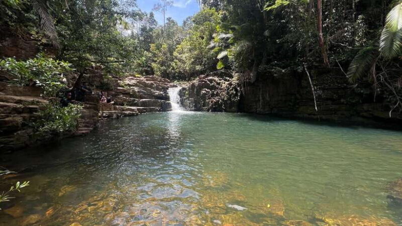 2D1N Jungle Hike to 2 Waterfall with a 4x4 Journey - Authentic Experiences and Traveler Insights
