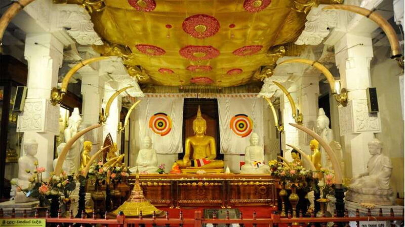3-Day Tour from Your Hotel: Explore Kandy, Ella, and Yala - Trains, Tea, and Waterfalls: The Heart of Day Two