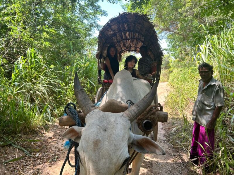 3 Days Cultural Triangle Tour - Day 2: Sigiriya’s Iconic Lion Rock and Polonnaruwa’s Ruins