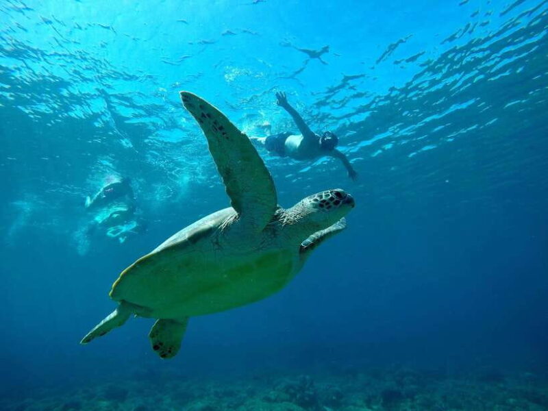 3 Islands Snorkeling with Glass Bottom Boat & GOPRO SHOOT - The Group and Timing