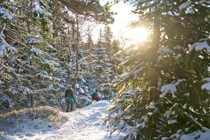 4 hours Best View of the Oslofjord Winter Edition - Practical Details
