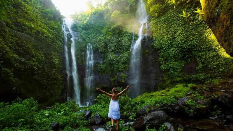7 Hiden waterfalls and Luwak Coffee Visit - The Sum Up: Why Choose This Tour?