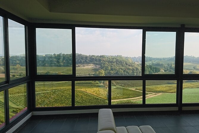 A day in Saint-Emilion in a small group (Electric Luxury Van) - The Experience: What Travelers Are Saying