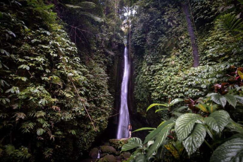 A Private Day Tour To Explore North Part of Bali - The Practicalities: Transportation and Comfort