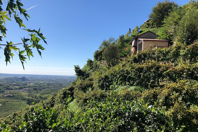 A Sparkling Day in the Prosecco Hills from Venice by Yellowboot - Second Winery: A Deep Dive into DOCG Prosecco