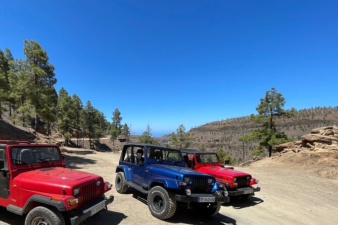 Adventure Driving Jeep Tour in Gran Canaria - The Value of the Tour: Is It Worth It?