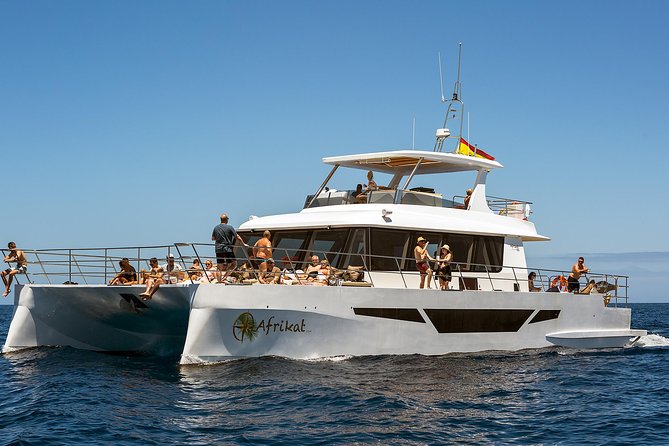 Afrikat Afternoon Cruise - Who Is This Tour Best For?