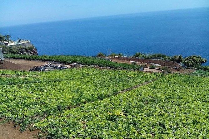 Agriculture Green Tour - Who Will Love This Tour?