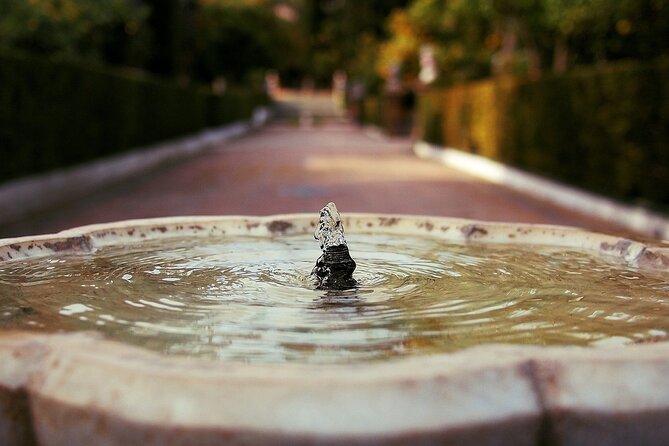 Alcazar & Cathedral of Seville Private Guided Tour - Final Thoughts