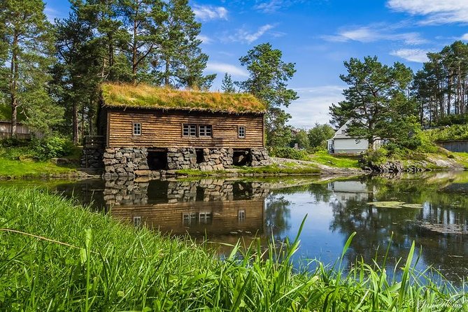 Alesund 3 hrs Private tour Medieval Village Sunnmore - What Travelers Say