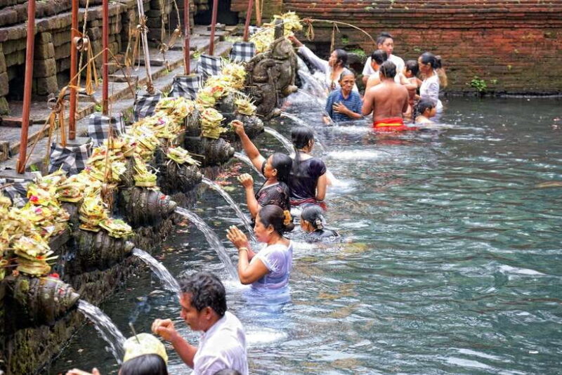 All-Inclusive Private Ubud Tour with Jungle Swing - The Practical Side: What’s Included and How It Works