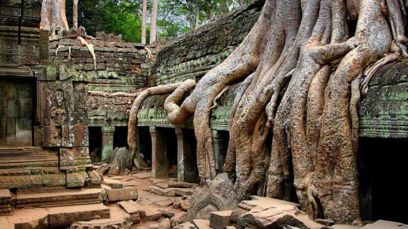 Angkor Region: 3-day Private Tour of Top Temples - Authentic Experiences and Insider Tips