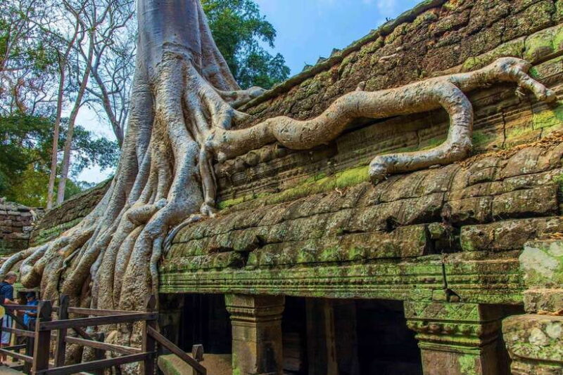 Angkor Wat one Day Private Tour for All Highlight Temples - Final Thoughts