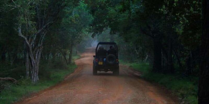 Anuradhapura: Wilpattu National Park Day Trip with entrance - Final Thoughts: Is It Worth It?