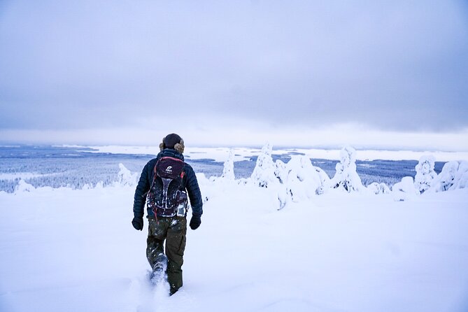Arctic Adventure through Magical Frozen Forests of Riisitunturi - What Makes This Tour Special?