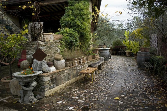 Assisi, Deruta & organic gourmet lunch at the olive oil farmhouse from SIENA - Who Is This Tour Best For?