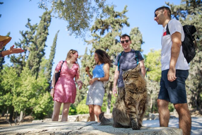 Athens Acropolis and Parthenon Walking Tour - Detailed Breakdown of the Itinerary