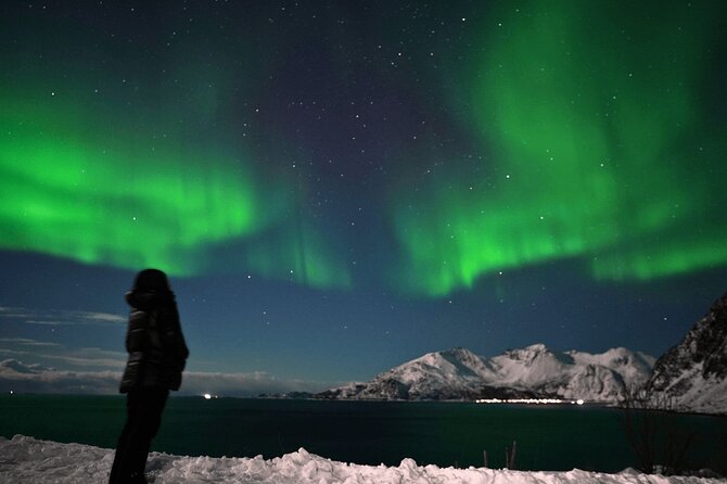 AURORA Northern Lights 8 HOURS Relaxed Moments (8 people)+photos - Authentic Feedback and What It Tells Us