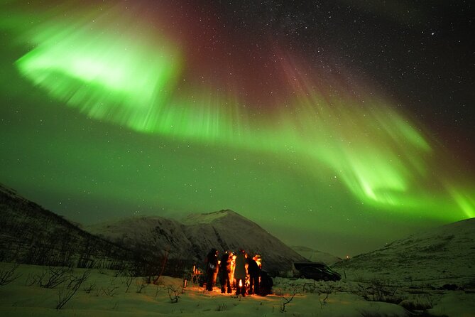 Aurora Tour - Analyzing Value and Cost