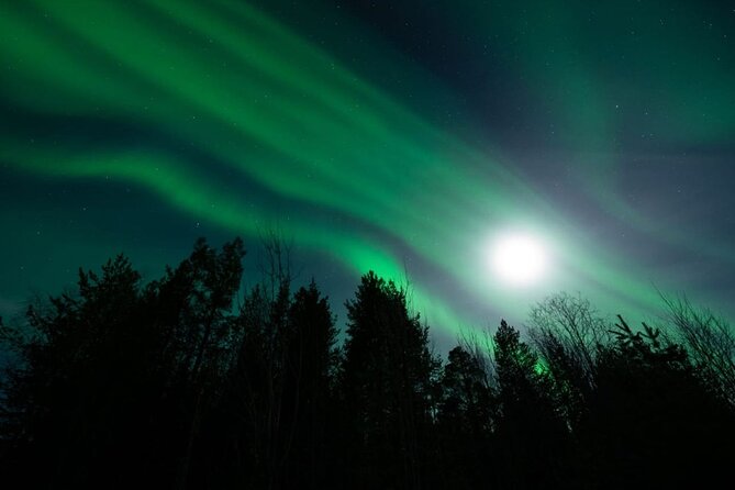 Aurora trip and Snowshoes in Lake Rautusjarvi - Authentic Feedback from Participants