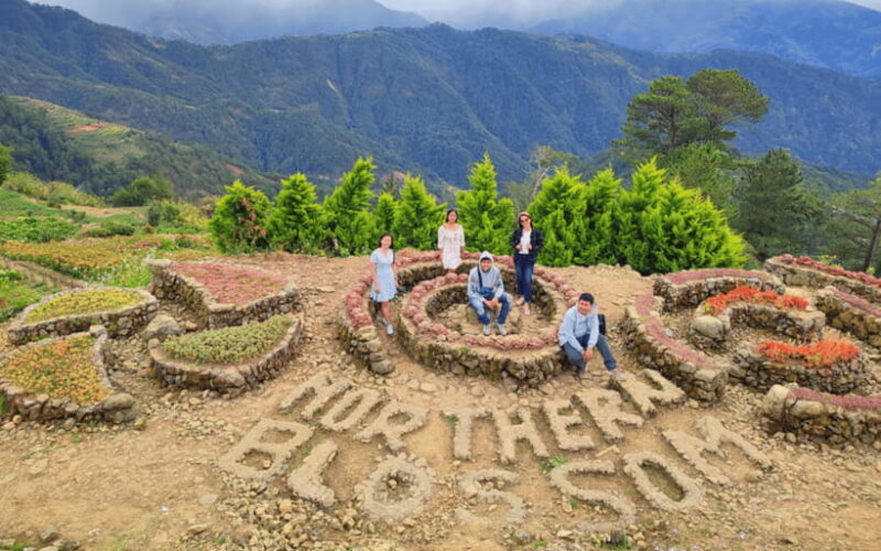Baguio Atok Flower Blossoms (Private Tour) - Authentic Traveler Insights