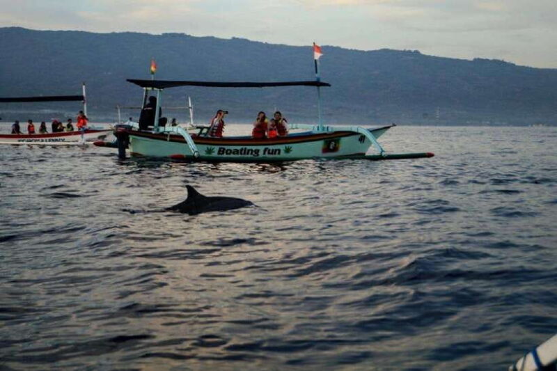 Bali: 3-Day North Bali Tour with Dolphin Watching - Final Thoughts: Is It Worth It?