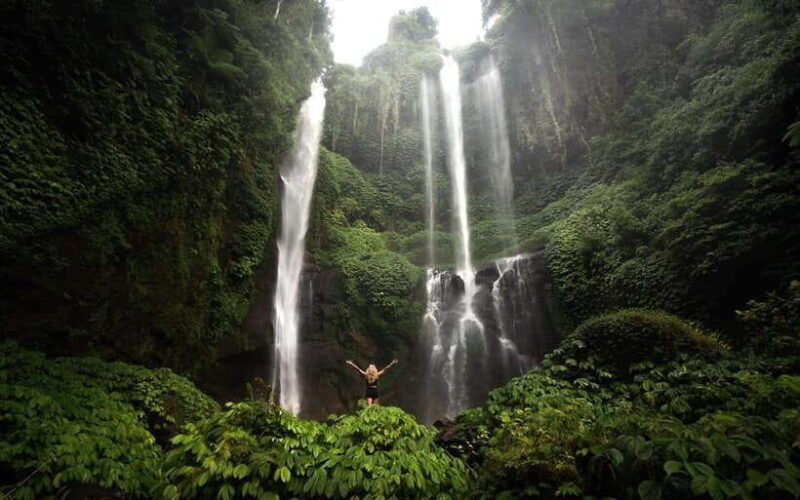 Bali: Aling Aling and Sekumpul Waterfalls Day Trip - The Overall Value and Suitability