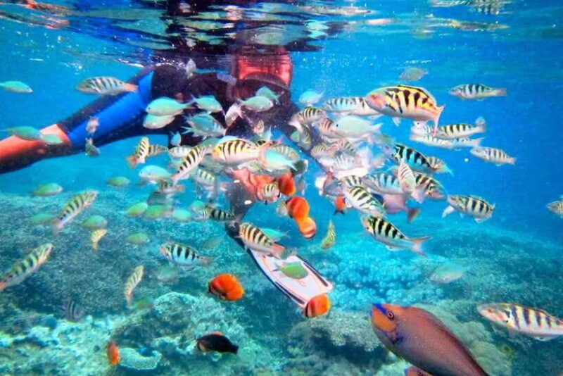 Bali: ATV Ride and Snorkeling Tour with Hotel Transfer - Breaking Down the Itinerary