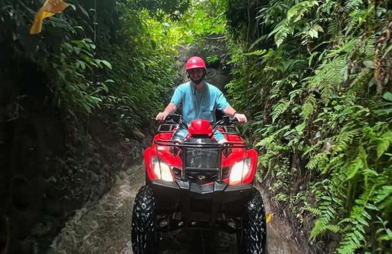 Bali ATV Ride with Infinity Pool Access - The Sum Up